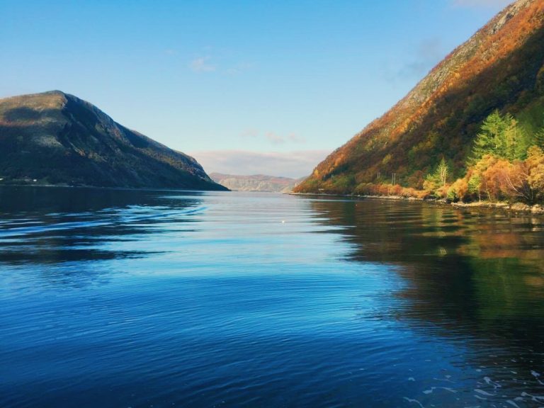 A local's guide to Selje, Norway