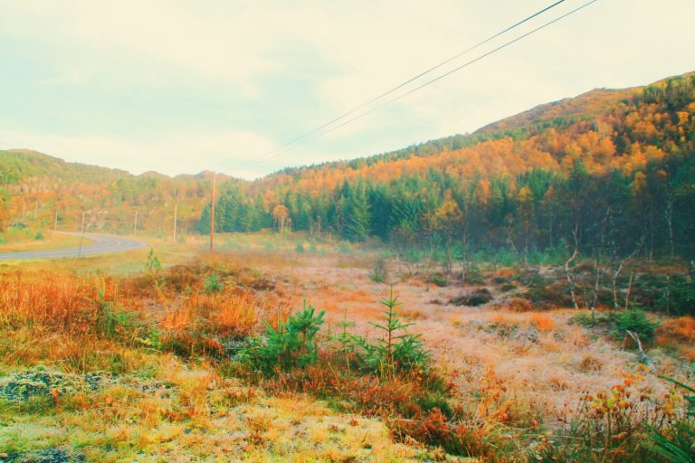 A local's guide to Selje, Norway