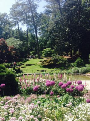 Your Complete Local's Guide to Durham, NC by a resident with the best ...