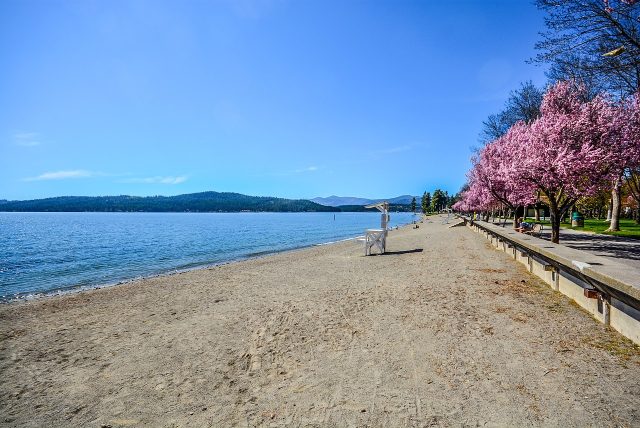 Ready, Set, Spring Break: Travel Tips for Your Next Spring Trip