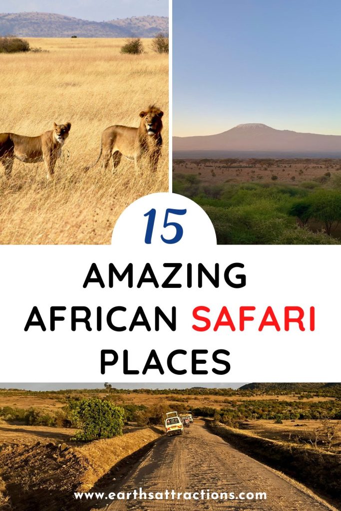 Top 5 Safari Destinations in Africa for Unforgettable Experiences