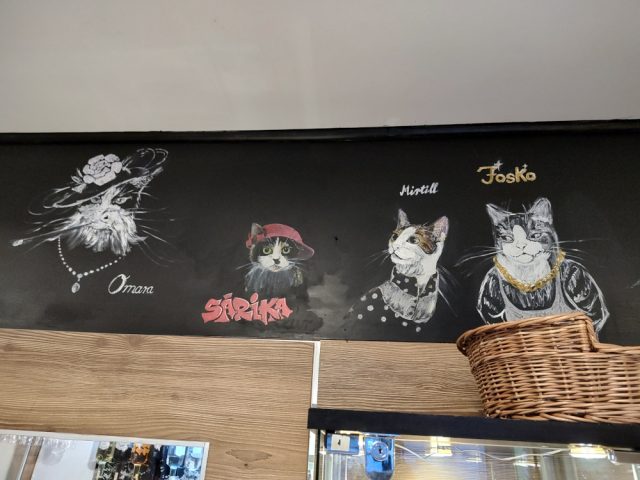 Ultimate Guide to Visiting Cat Café Budapest: Tips & Must-Knows